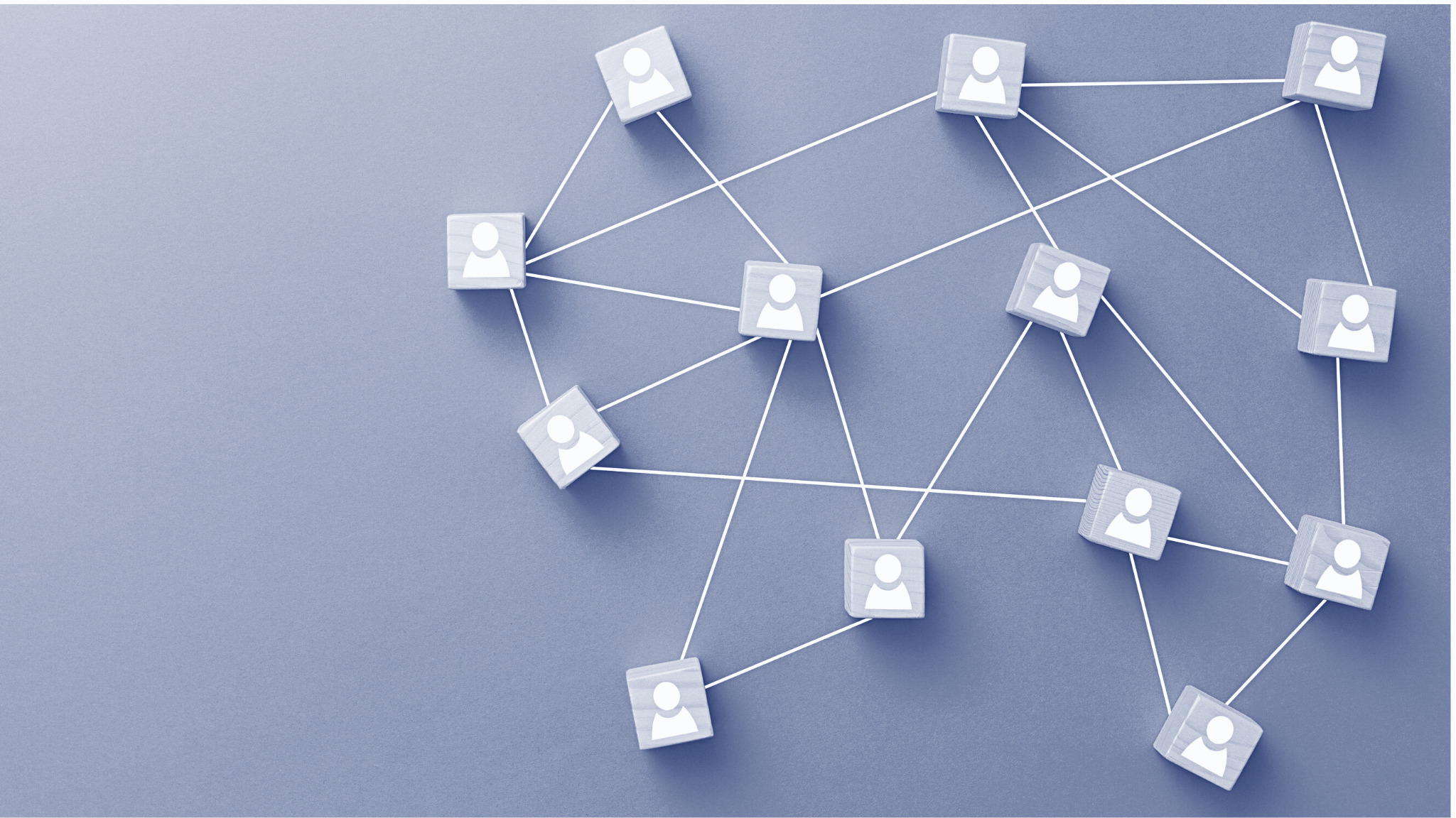 Contact - Partners in Democracy